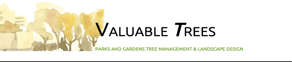 Declaration of Tree rights: an historical time!VALUABLE TREES ...